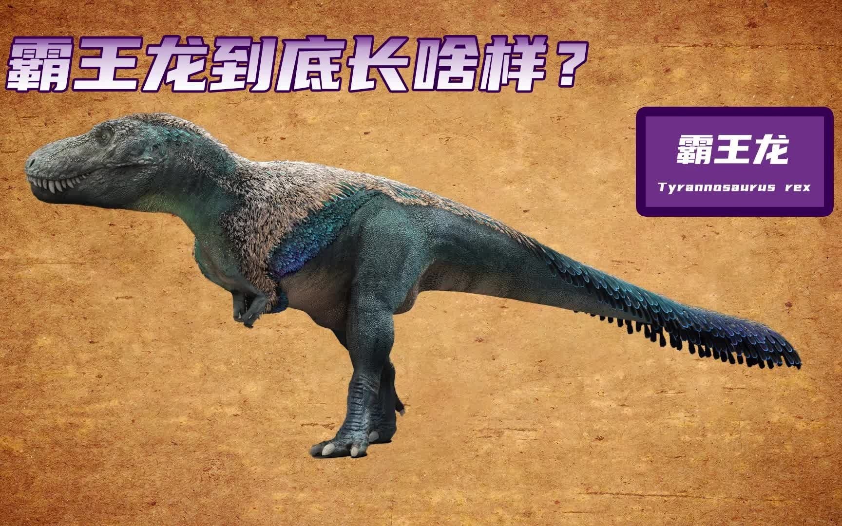 霸王龙的模样猜测了50年，直到后来有人提出它可能是鸡的祖先_哔哩哔哩_bilibili