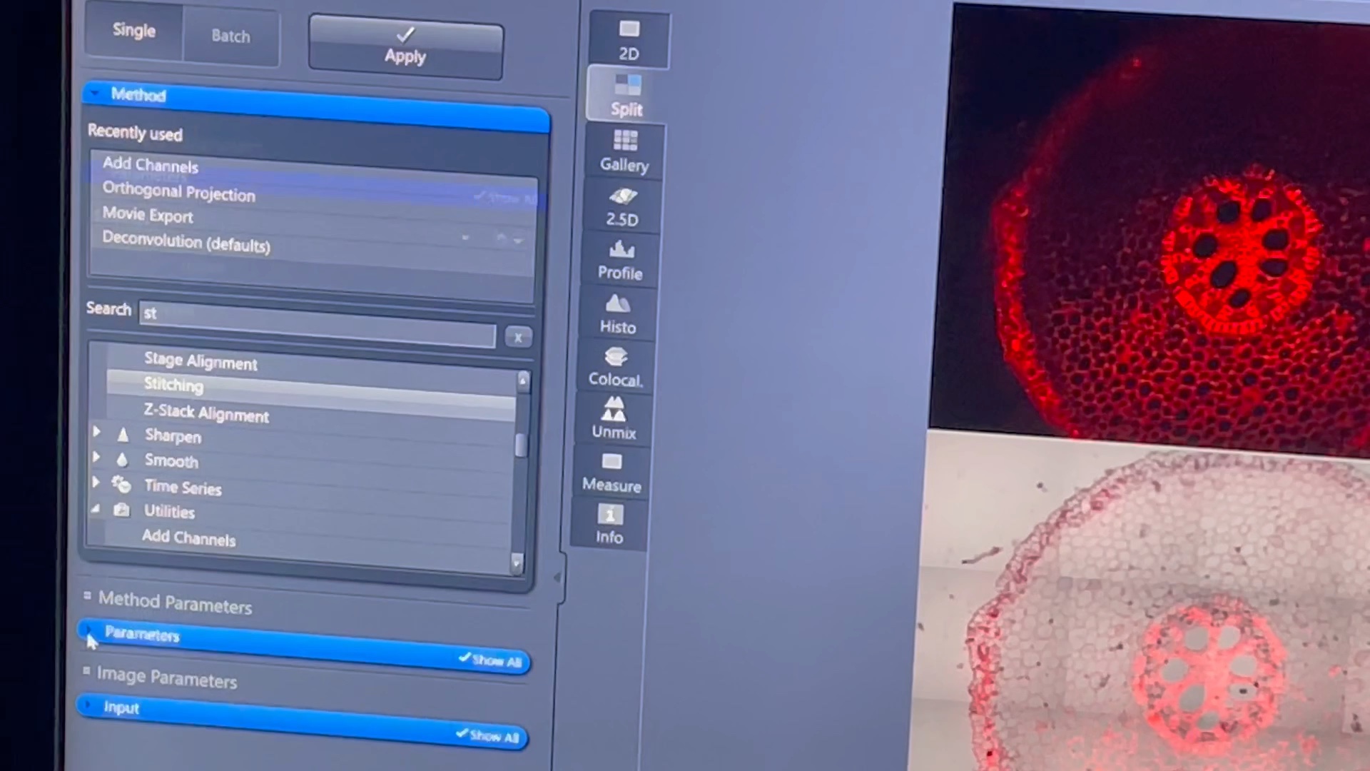 Zeiss LSM 900 激光扫描共聚焦显微镜仪器操作及ZEN软件使用_哔哩哔哩_bilibili