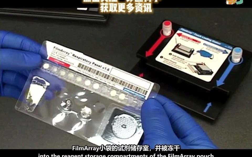 【诊断技术】BioFire FilmArray系统介绍-bilibili(B站)无水印视频解析——6li6在线工具箱