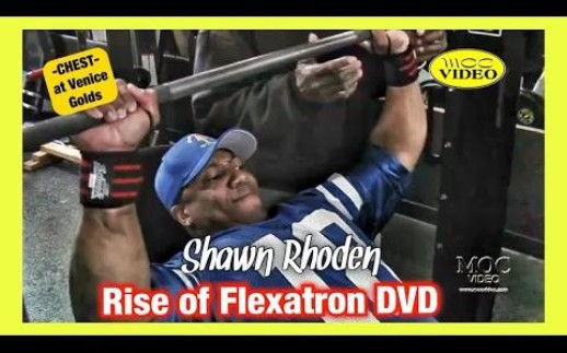 Shawn Rhoden -胸部锻炼Flexatron的崛起DVD_哔哩哔哩_bilibili