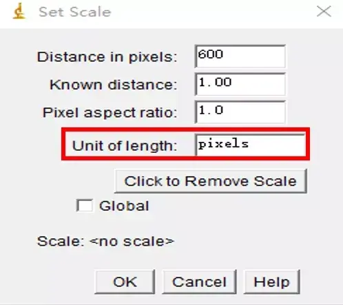 Image J 定量分析WB灰度值 - 哔哩哔哩