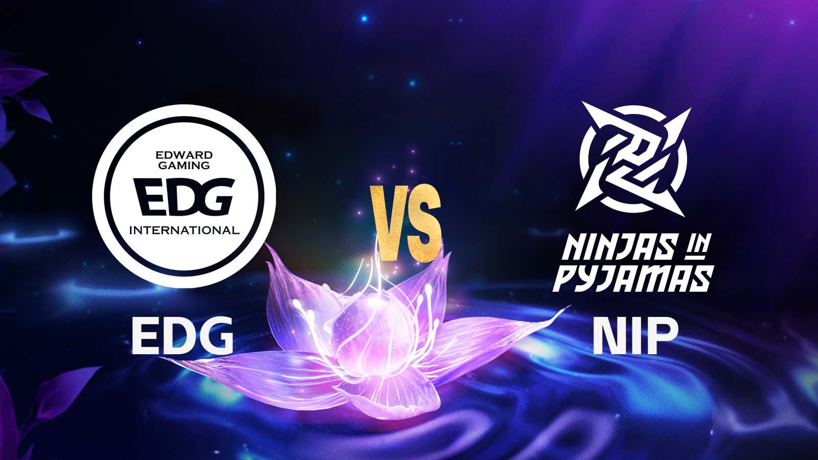 视频去哪了呢？_哔哩哔哩_bilibili