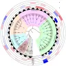 galaxy lefse线上平台使用教程-上期点赞过百发教程系列兑现_哔哩哔哩_bilibili
