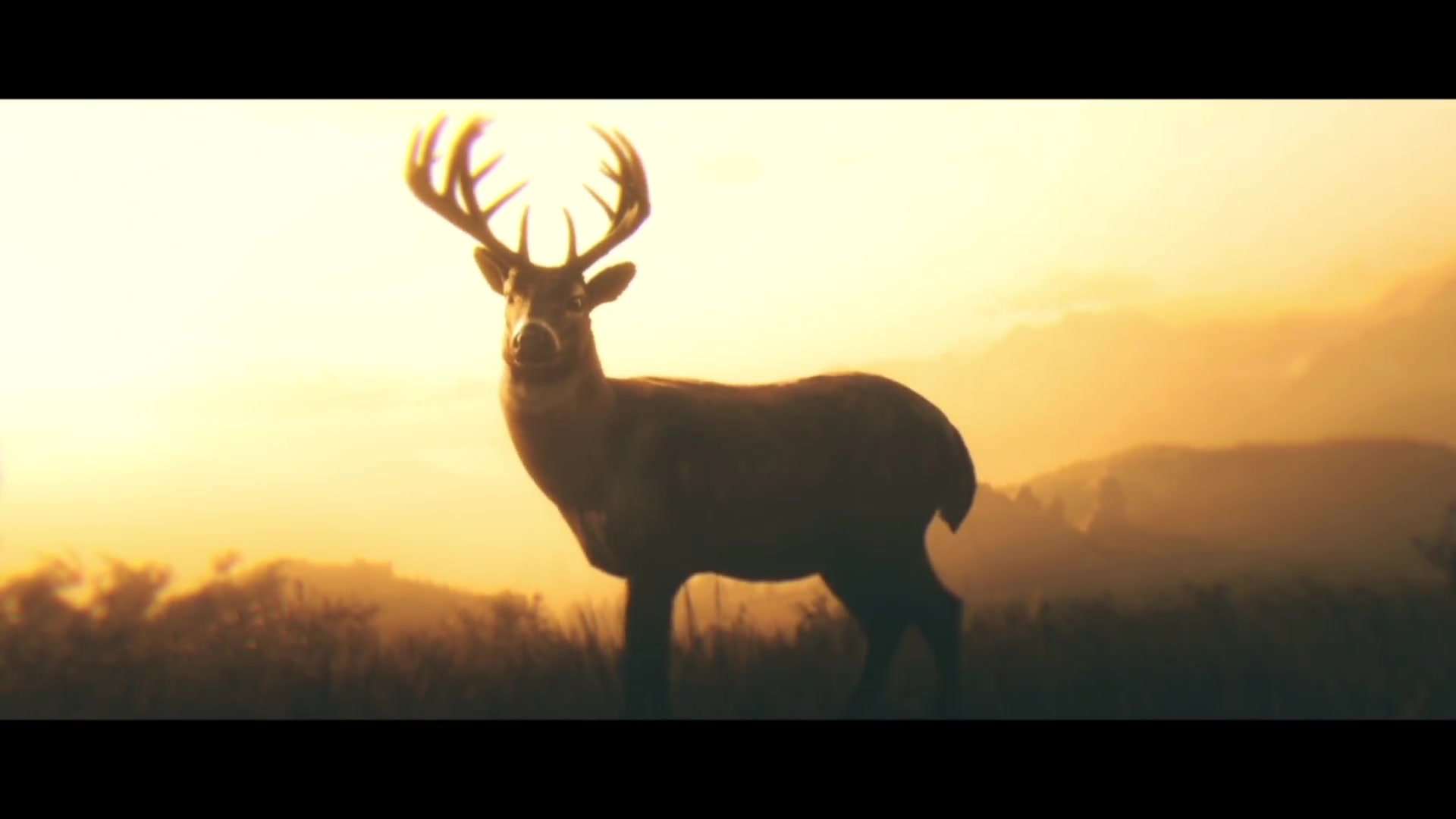 荒野大镖客：救赎II 第六章结尾（主线故事结局）&尾声结局(最终结局/True Ending)_哔哩哔哩 (゜-゜)つロ 干杯~-bilibili